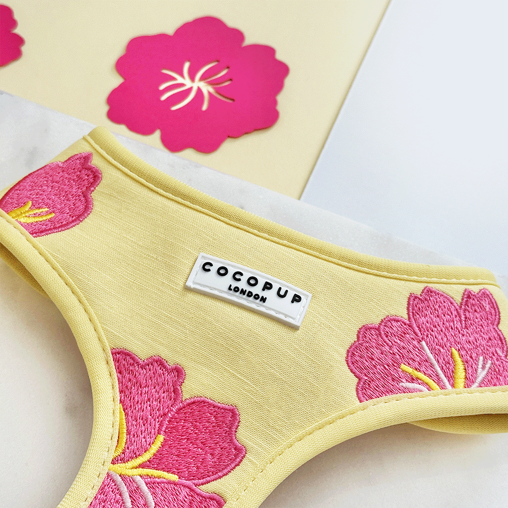Dog Harness | Cocopup London – Page 2